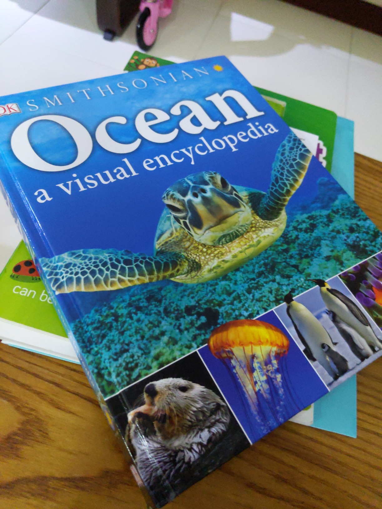 Ocean: A Visual Encyclopedia : DK, Woodward, John: Amazon.sg: Books