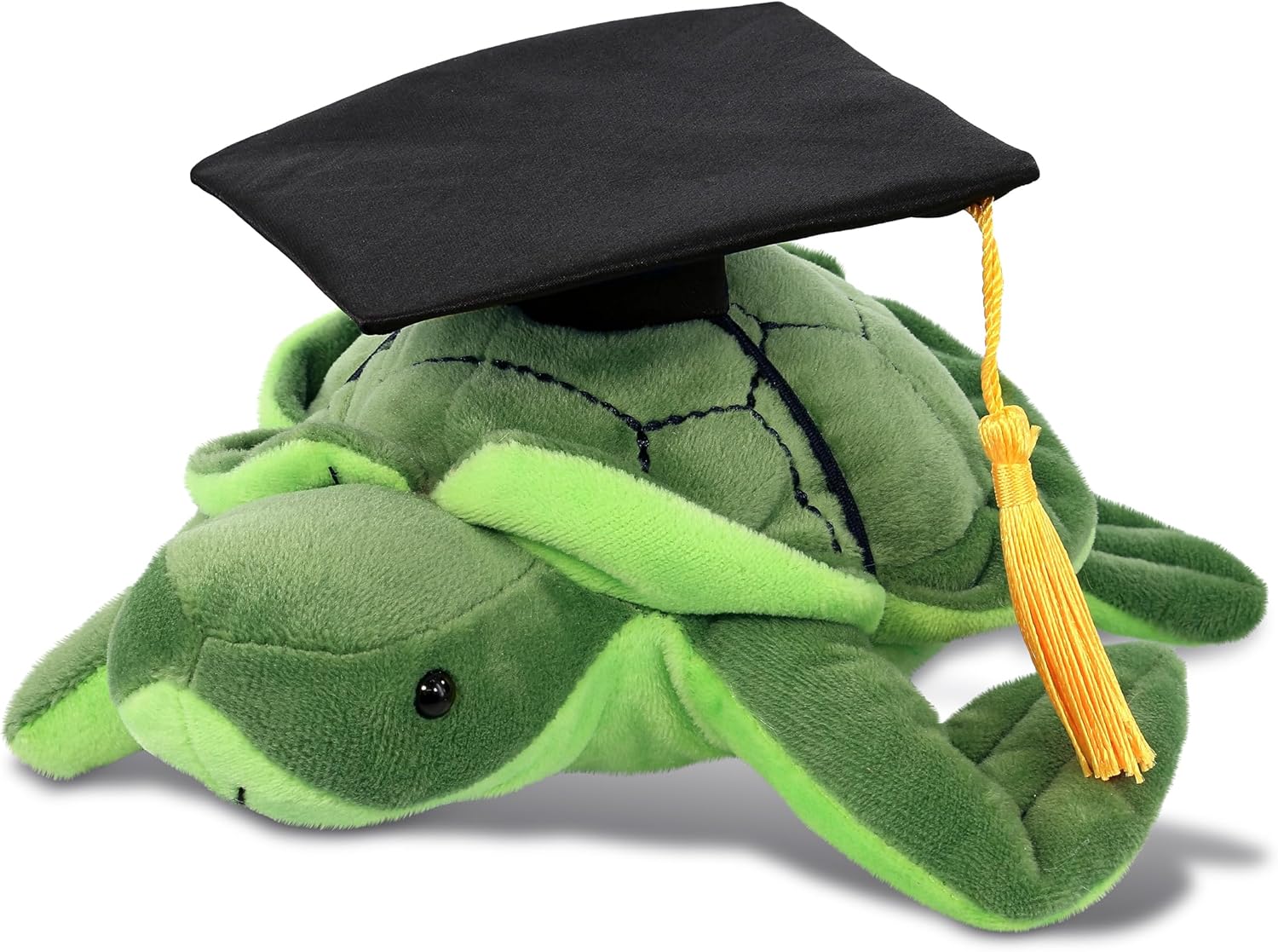Amazon.com: DolliBu Sea Turtle Graduation Plush Toy - Soft Huggable ...