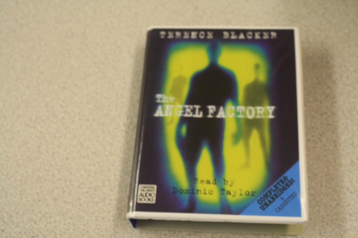 The Angel Factory: Blacker, Terence, Taylor, Dominic: 9780754052791 ...