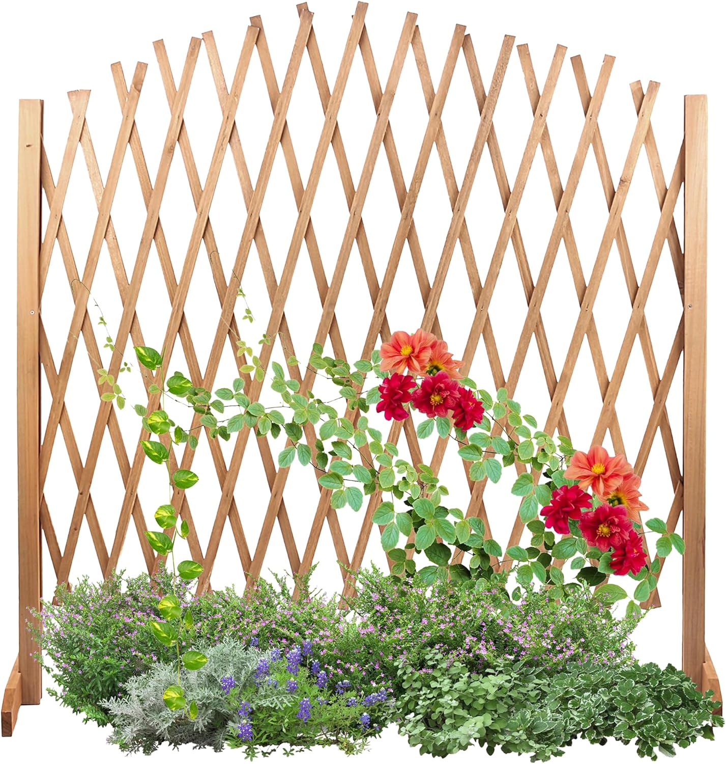 My Garden Expandable Wooden Trellis Weather-Treated Garden Trellis for ...