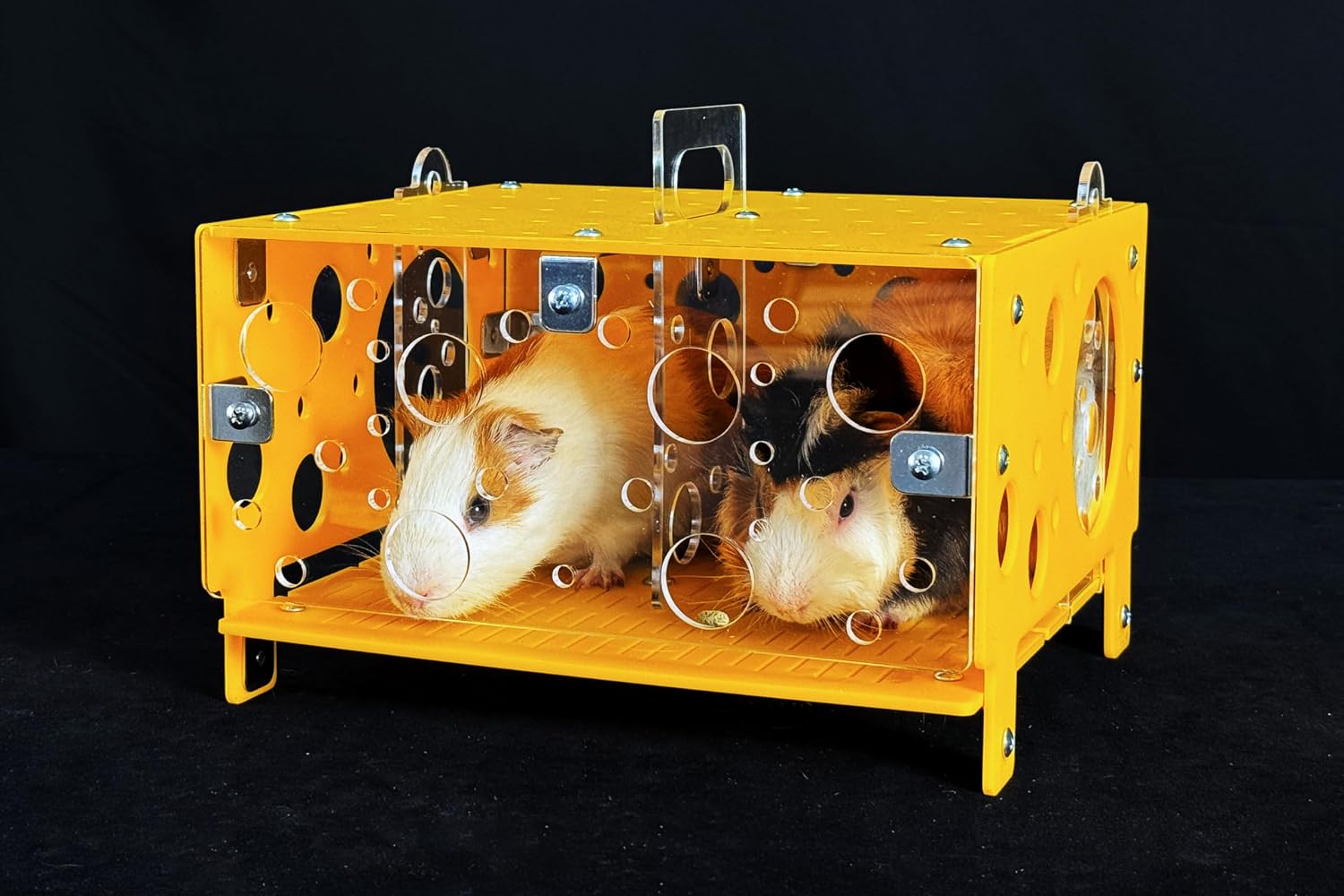 GuineaLoft™ Guinea Pig Cheese House - The Ultimate Guinea Pig Hideout ...