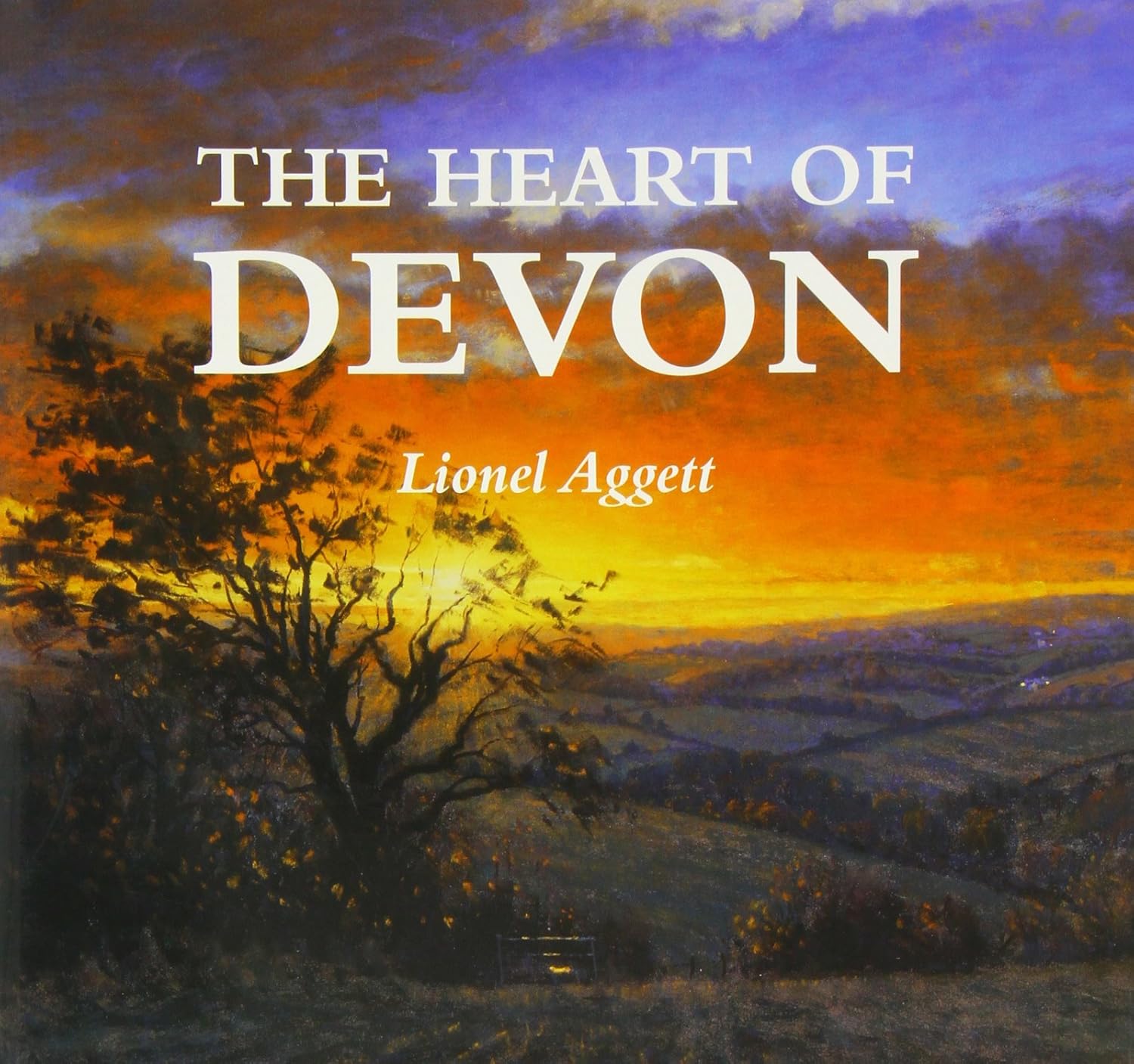 Heart of Devon: Lionel Aggett: 9781841142906: Amazon.com: Books