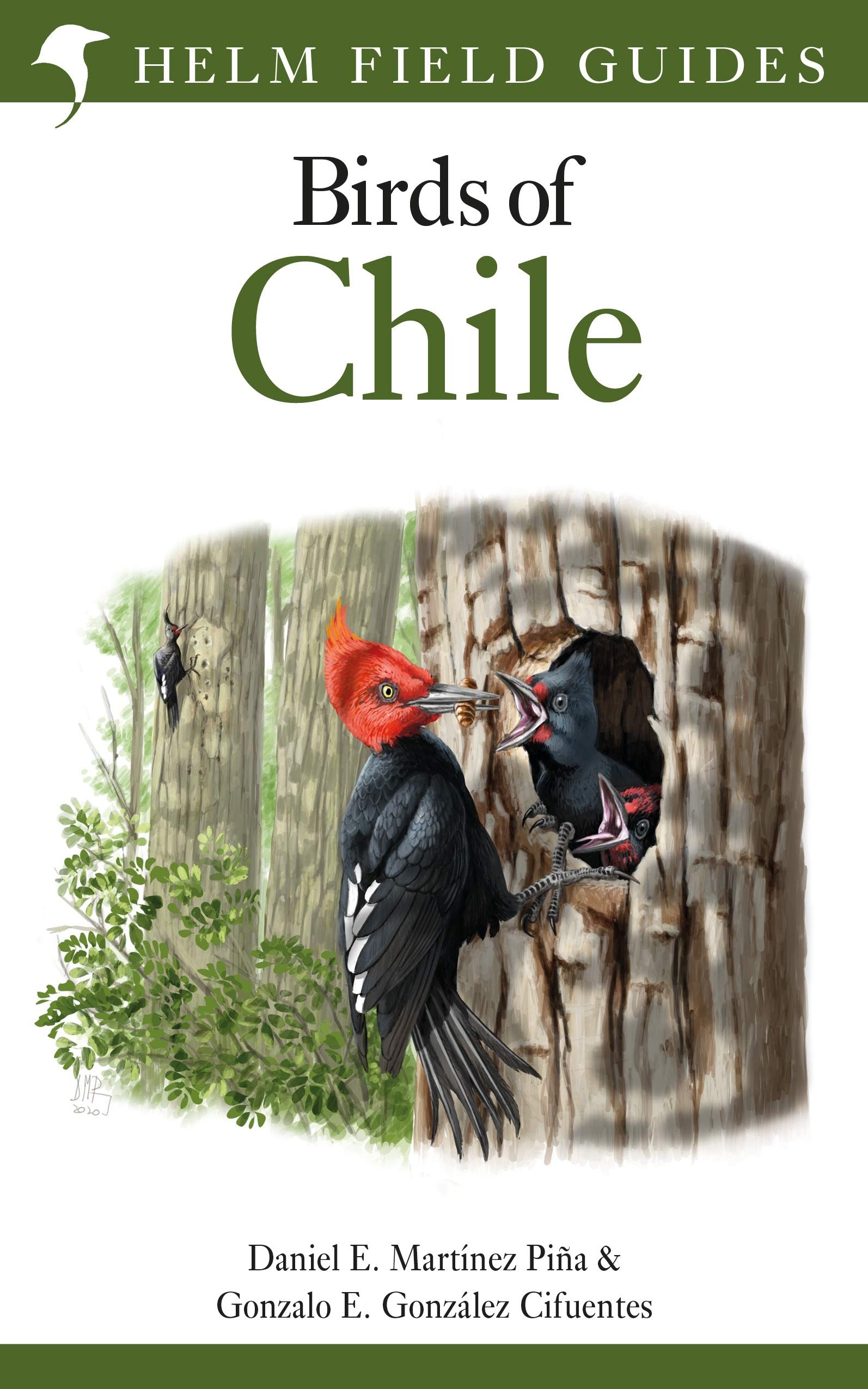 Amazon | Field Guide to the Birds of Chile (Helm Field Guides) | Pia, Daniel E. Martnez ...