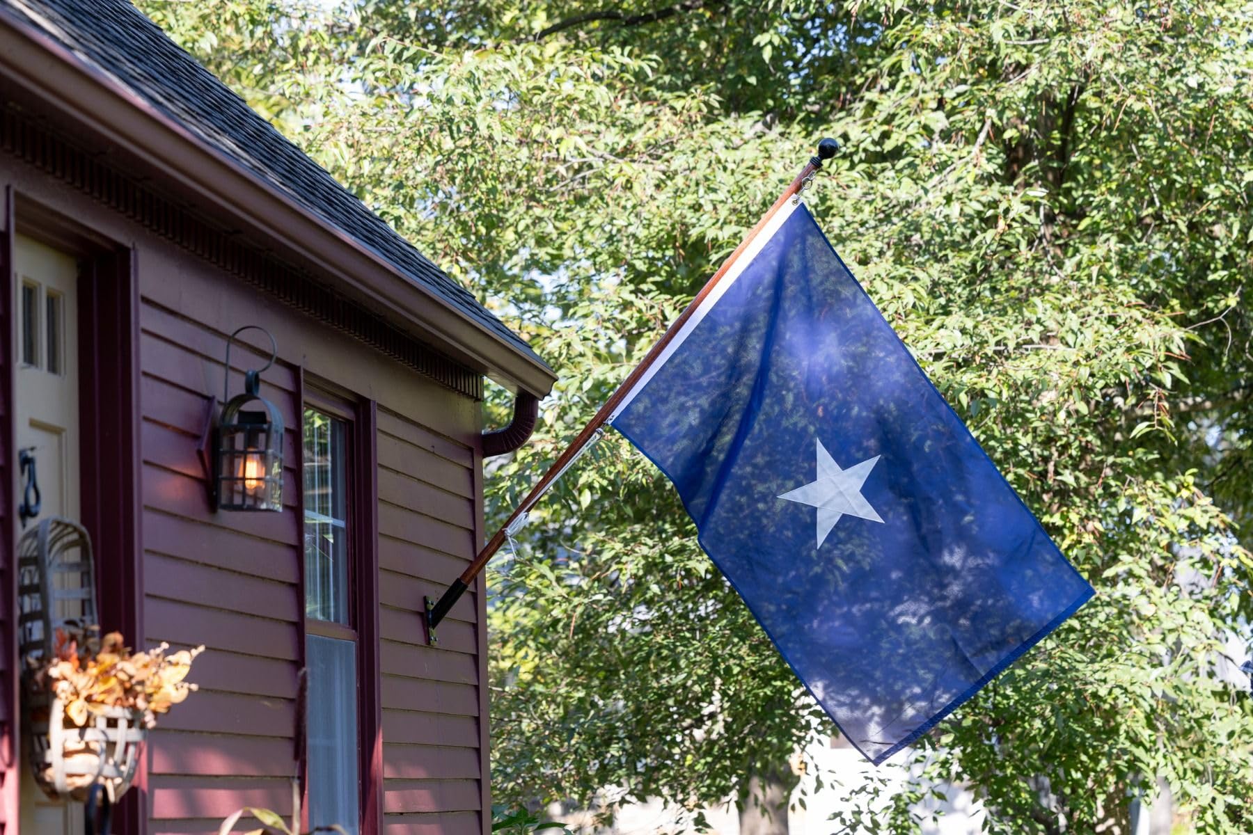 Bonnie Blue Flag