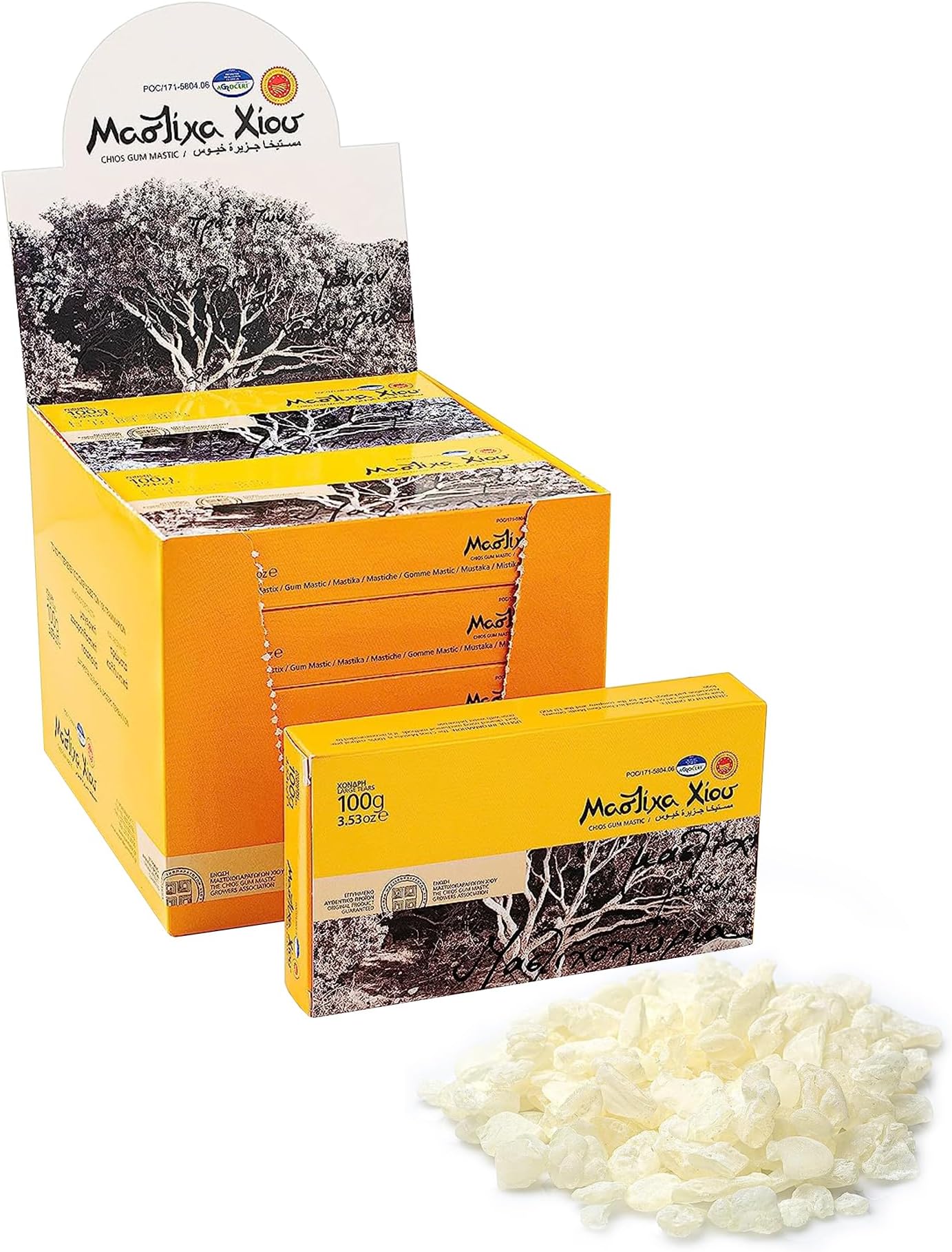 Amazon.com : Falim Sugarless Plain Gum, Mastic (20 Pack (100 Pieces ...