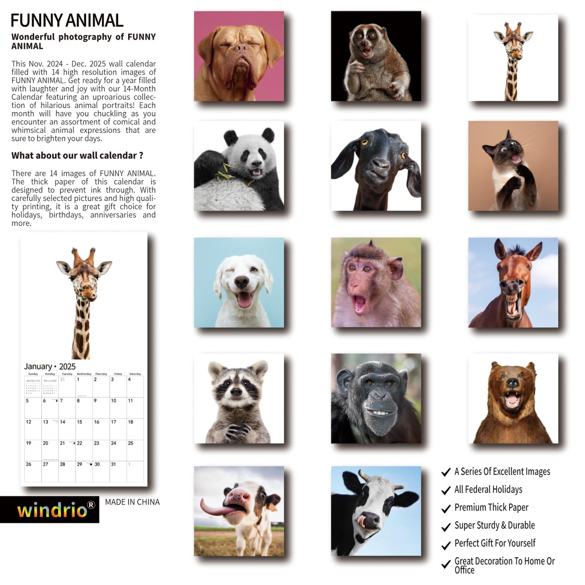 Snapklik.com : 2025 Wall Calendar, White Elephants Funny Animal Memes ...