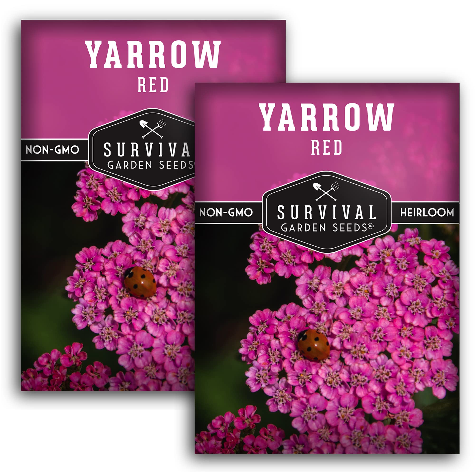 Amazon.com : Red Yarrow Seed for Planting in The Garden - 2 Packs with ...