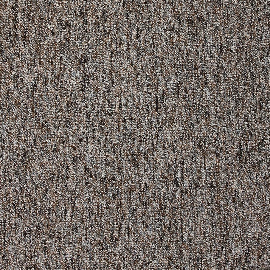 Loop pile carpet by the meter – The 15 best products in comparison ...