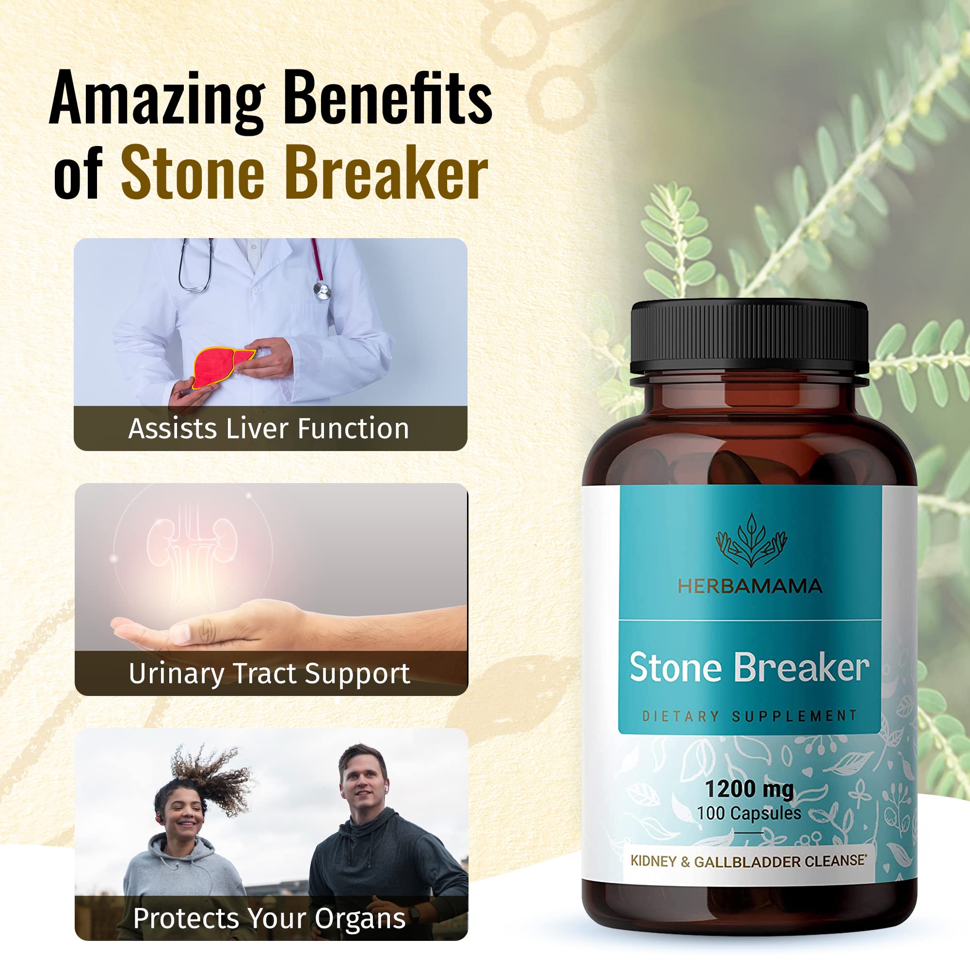 Snapklik.com : HERBAMAMA Stone Breaker Chanca Piedra Pills - Organic ...