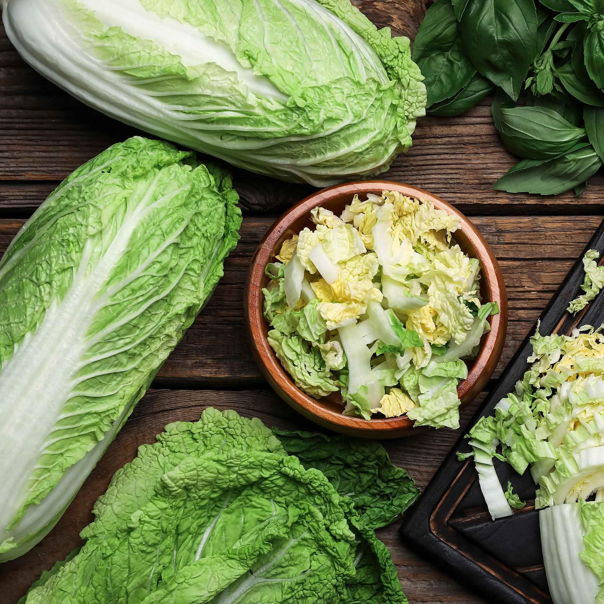 Chinese Cabbage Growing In Containers Buy Canton Pak Choi Chinese