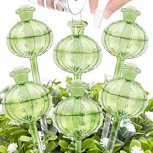 Amazon.com: Sawowkuya 6 Pcs Plant Watering Globes Top Fill, Cactus Self Watering Planter Insert ...