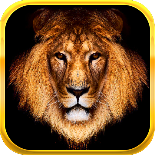 King Slots-Amazonアプリストアのアプリ