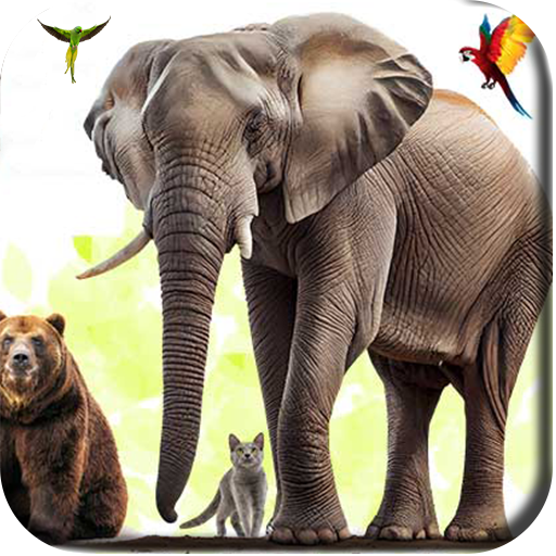 Animal Sounds Alphabetical - App on Amazon Appstore