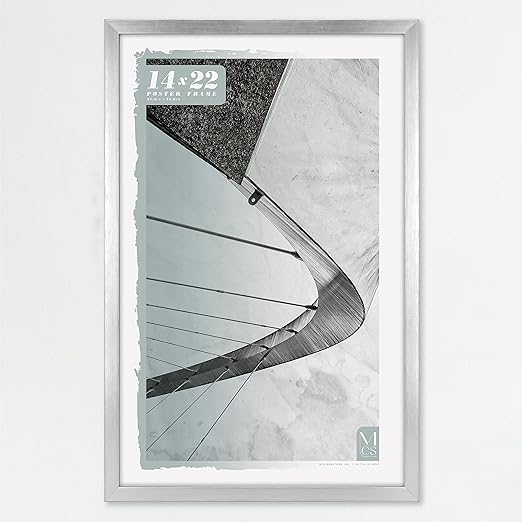 Amazon.com: MCS Foundation 14x22 Poster Frame Traditional Silver ...