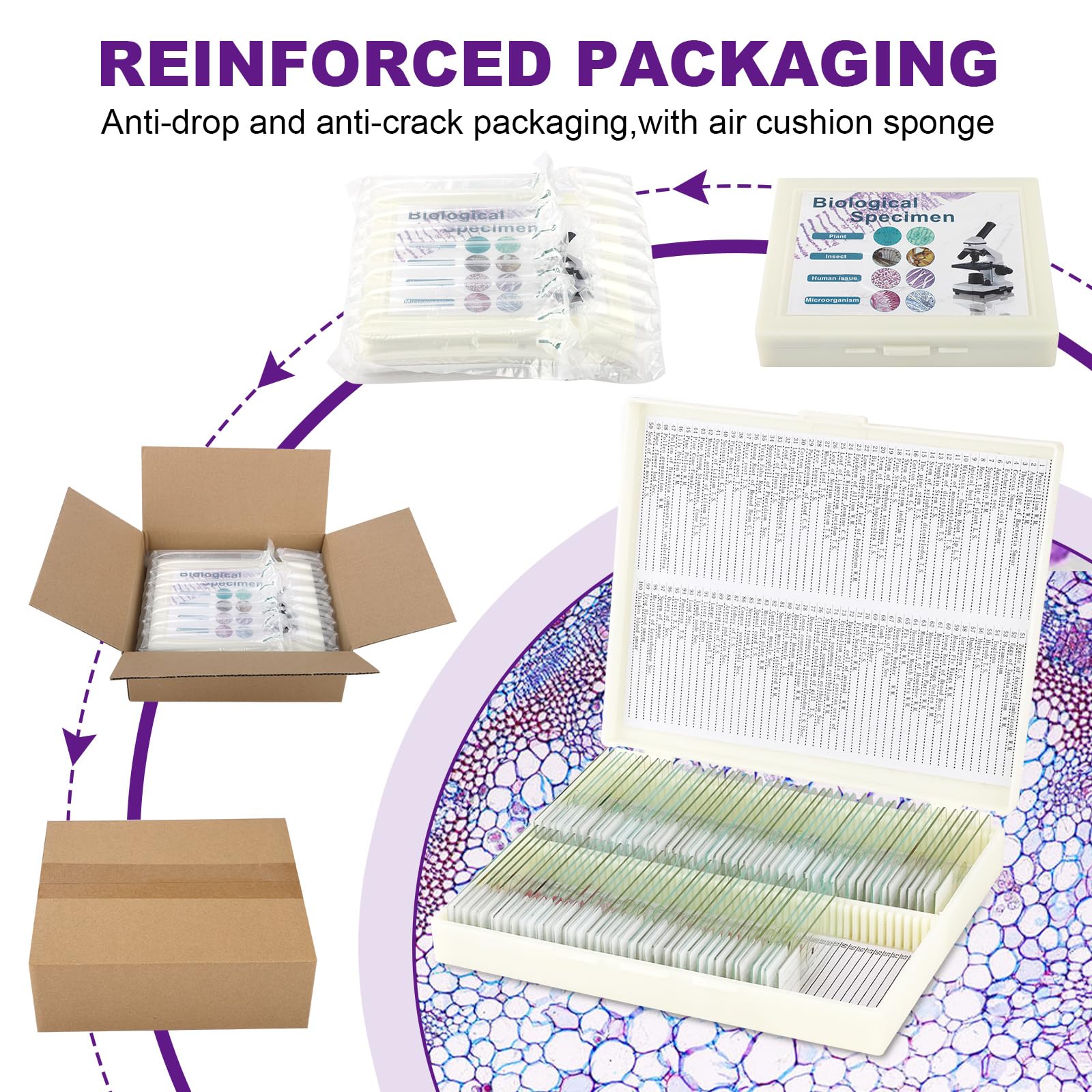 Snapklik.com : 100 Pcs Microscope Slides