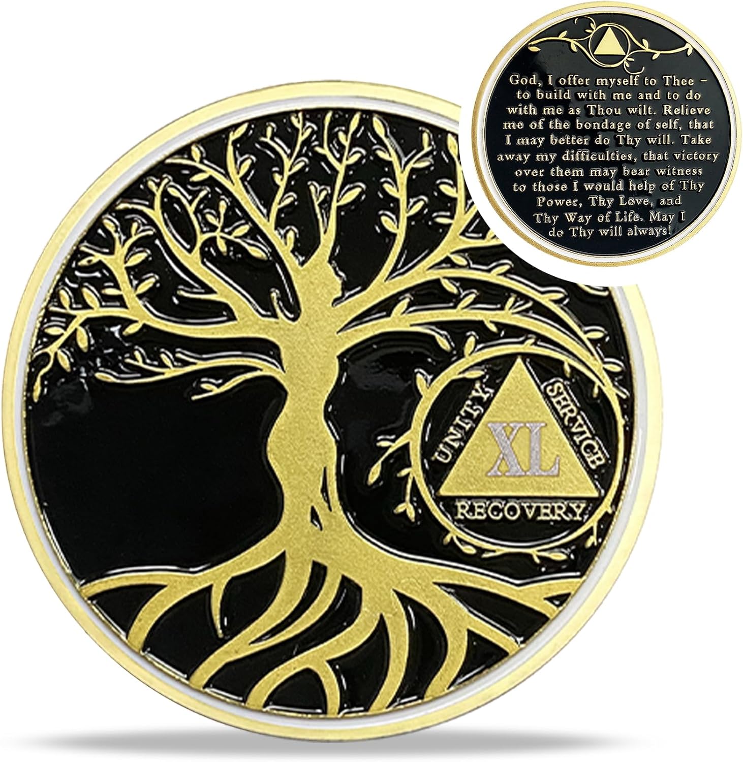Amazon.com : 40 Year Sobriety Coin - Gold Tree of Life AA Coins ...
