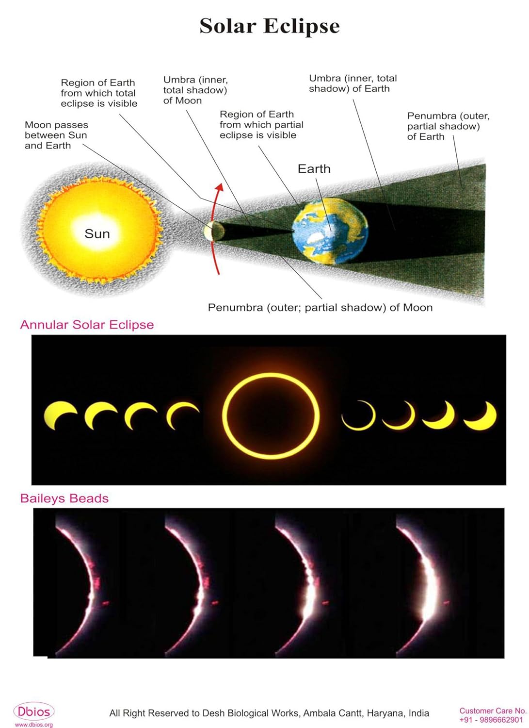 Amazon.com: Dbios Digitally Printed Solar Eclipse Laminated Educational ...