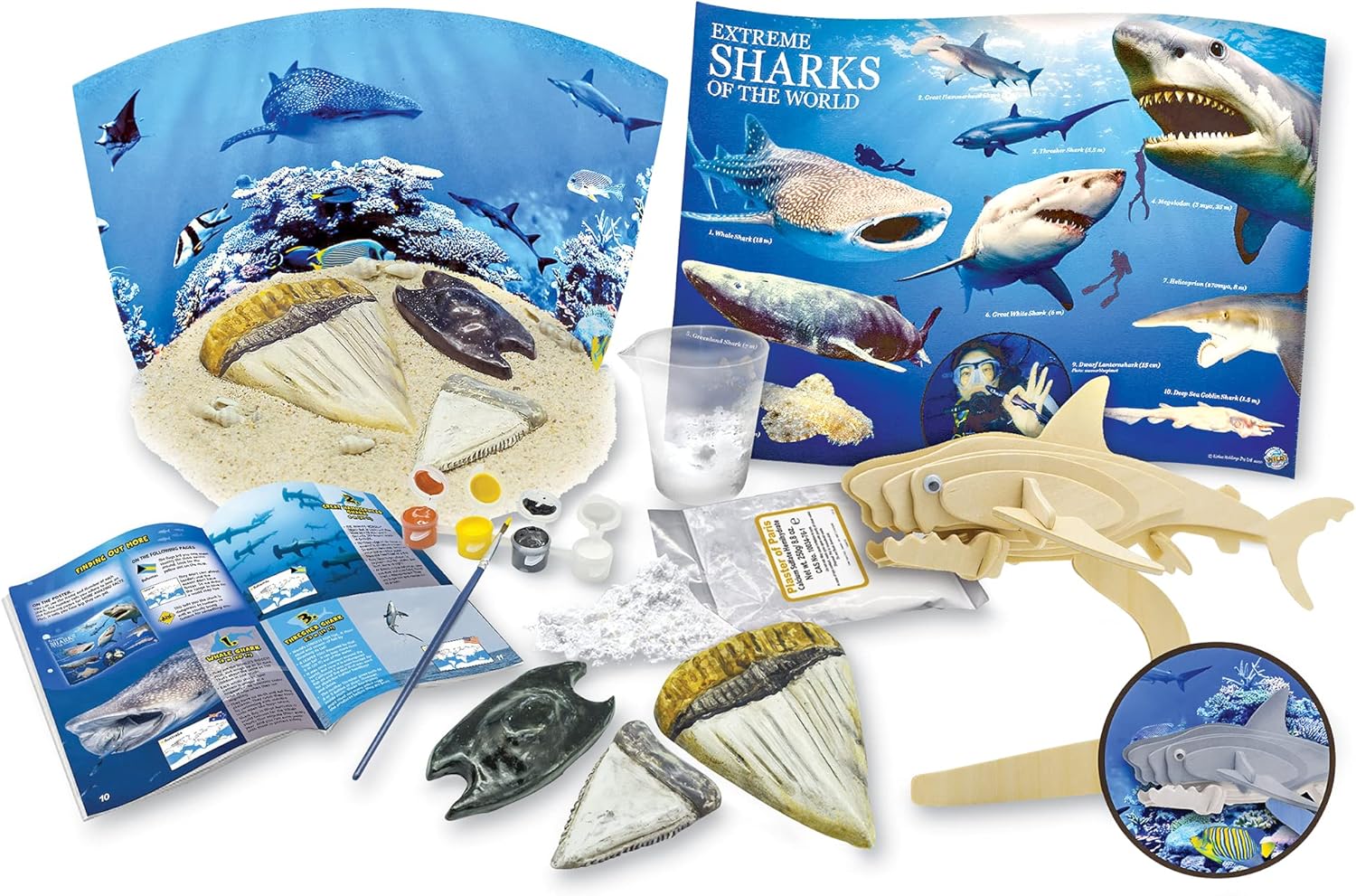 Amazon.com: Collections Etc Extreme Sharks of The World Diorama Kit ...