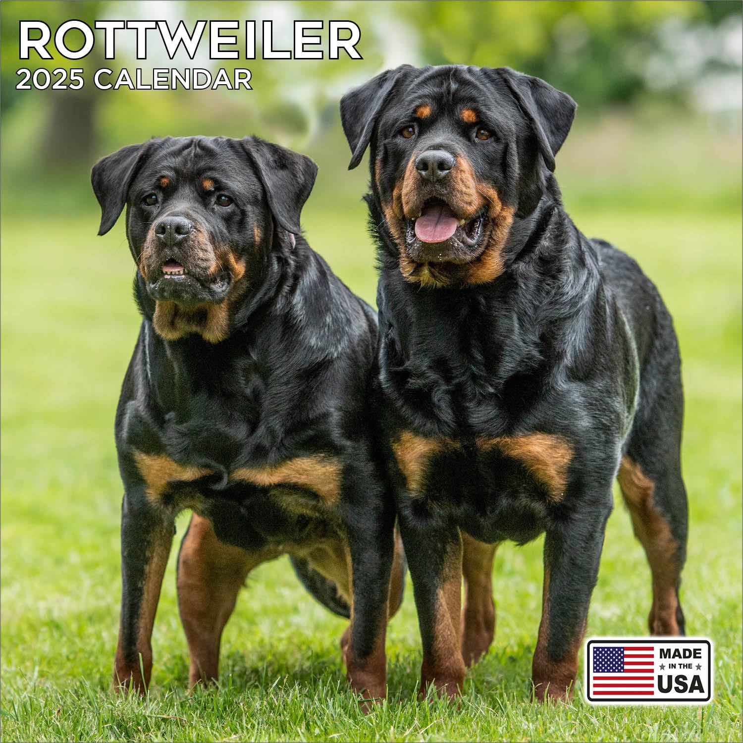 2025 Rottweiler Calendar - Dog Breed Wall Calendar - 12 x 24 Open ...