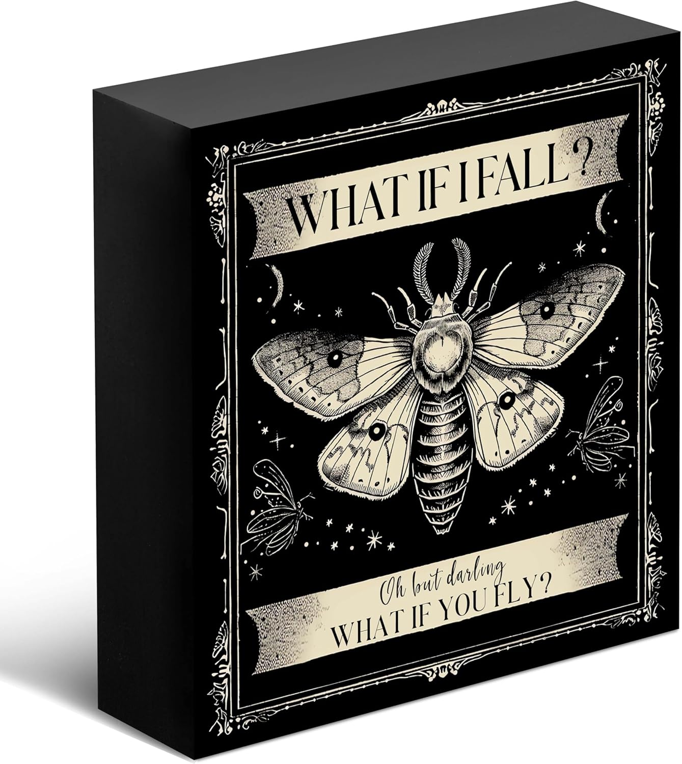 Amazon.com: Motivational Gifts, What If I Fall? What If You Fly? 5x5 ...
