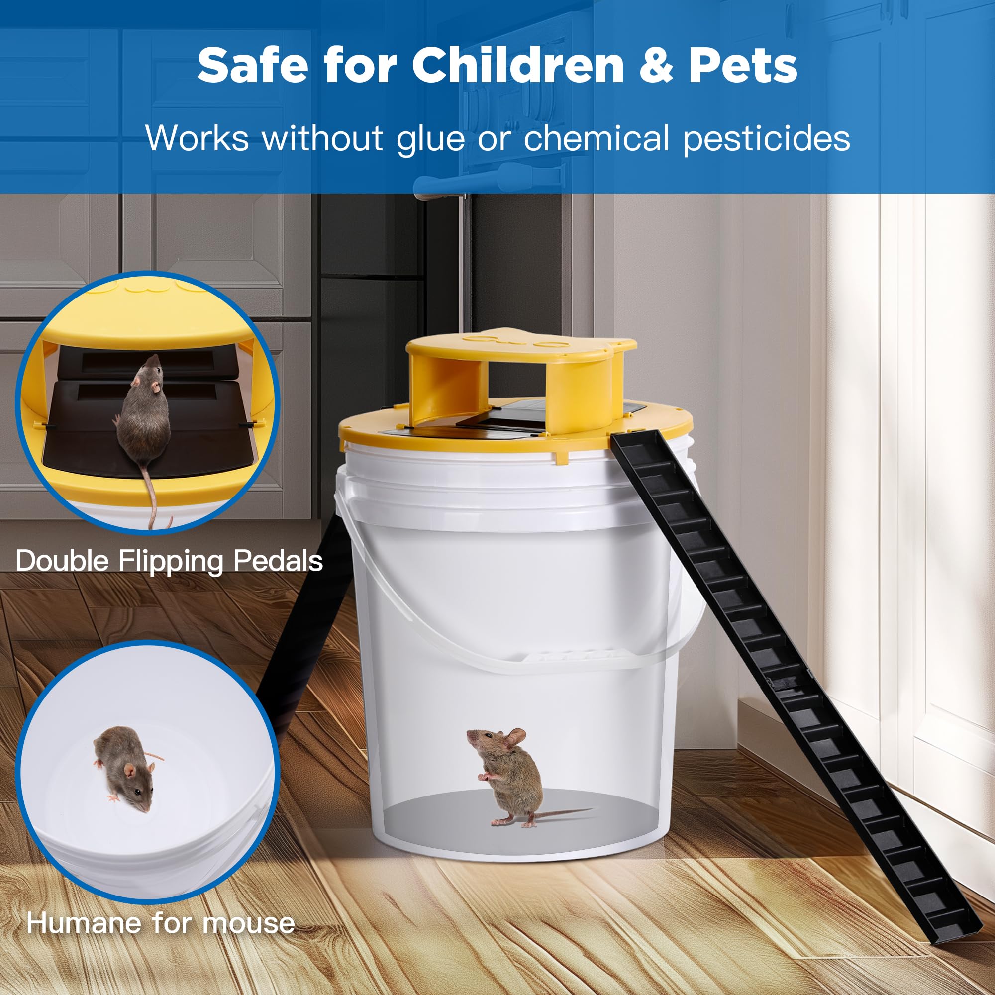 Using A Bucket Mouse Traps That Work Homemade Mouse Trap Humane