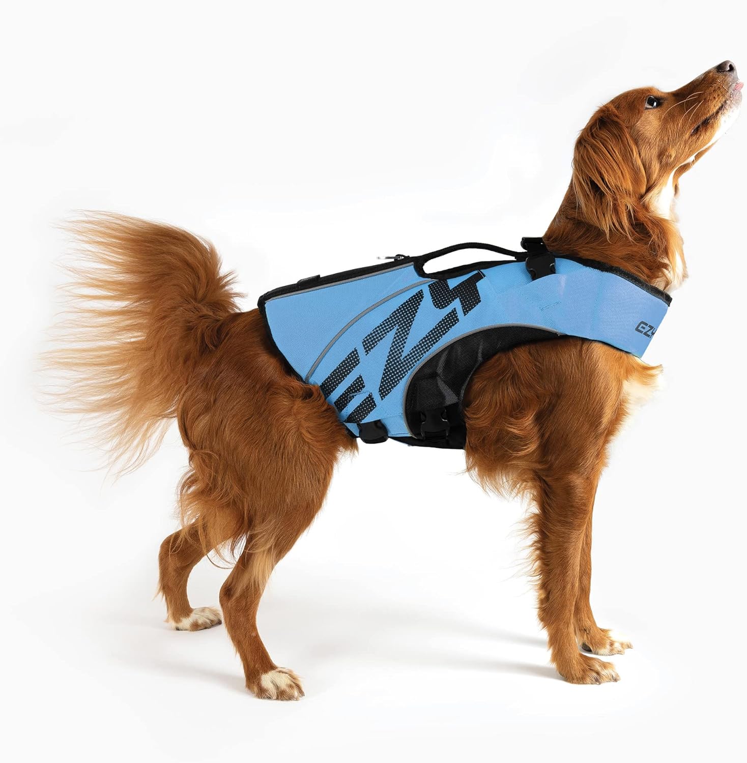 EZYDOG X2 Boost Gilet de Sauvetage | Bateau, adapté aux Chiens, Planche à pagaie, flottabilité ...
