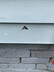 Guppyhill Vinyl Siding Repair Kit, Cover Any Cracks, Holes, or ...