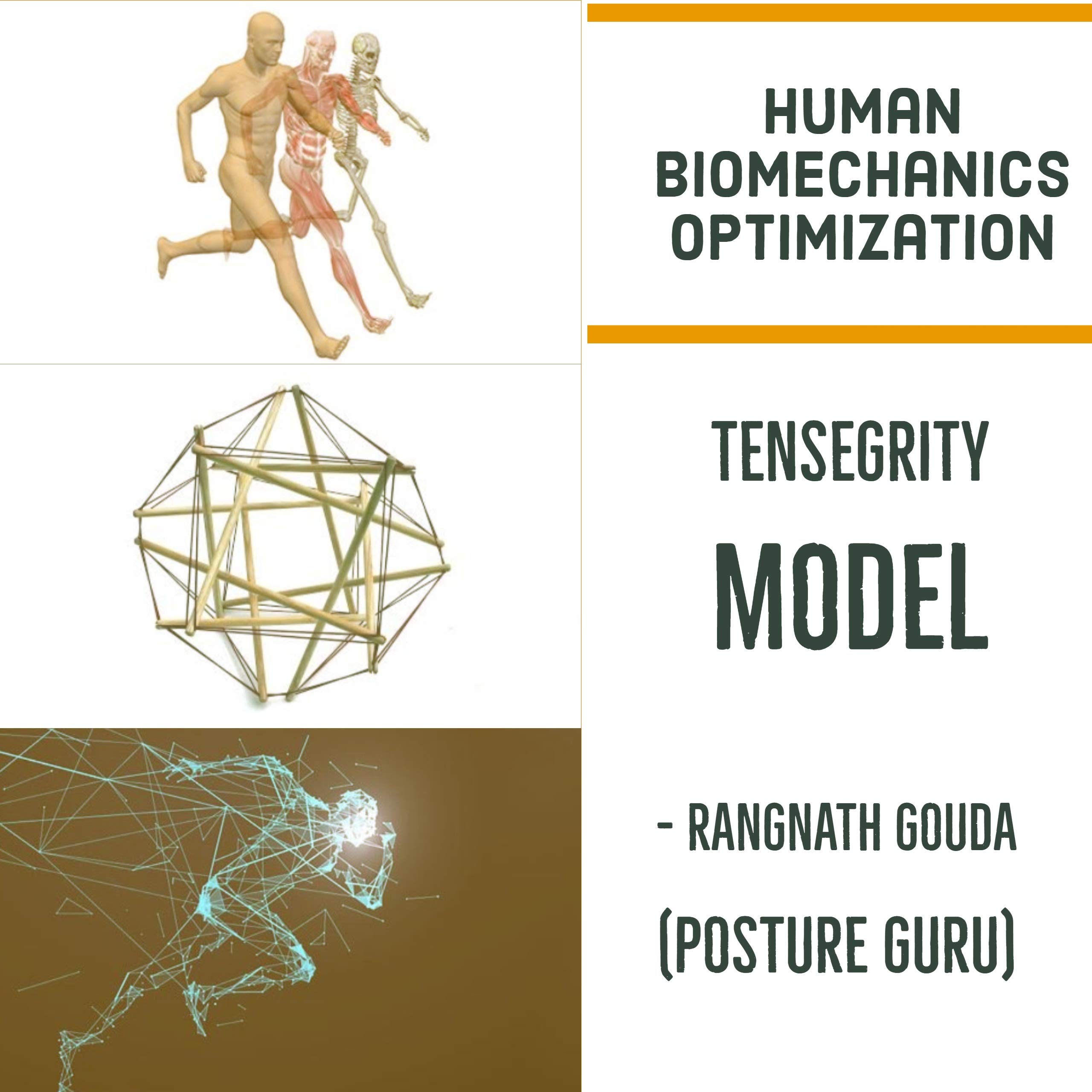 Buy Human Biomechanics Optimization and Tensegrity Model: THE HIDDEN ...