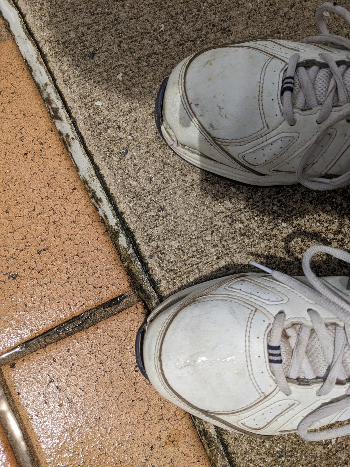 New Balance : Amazon.com.au: Clothing, Shoes & Accessories