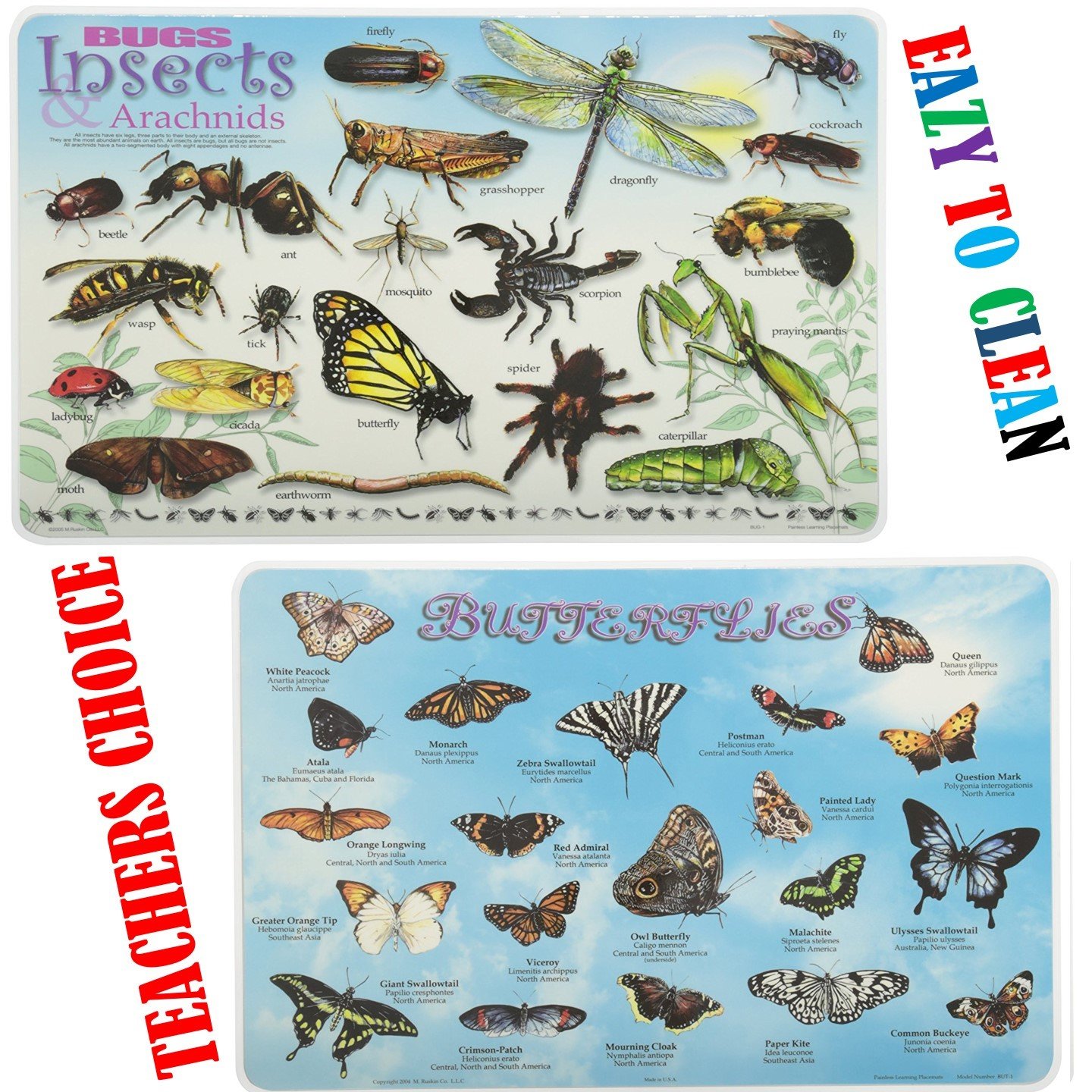 Amazon.com: Painless Learning Educational Placemats for Kids ...