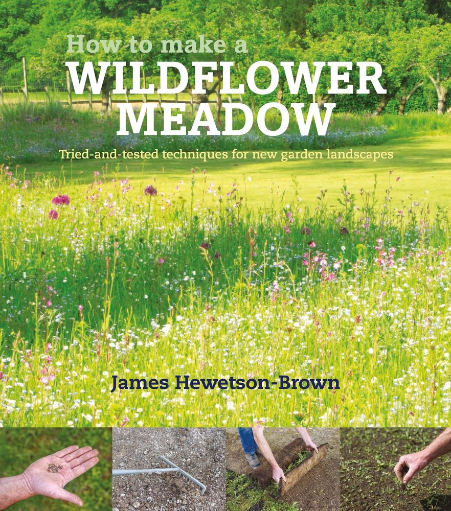 How to Make a Wildflower Meadow: Tried-and-Tested Techniques for New ...