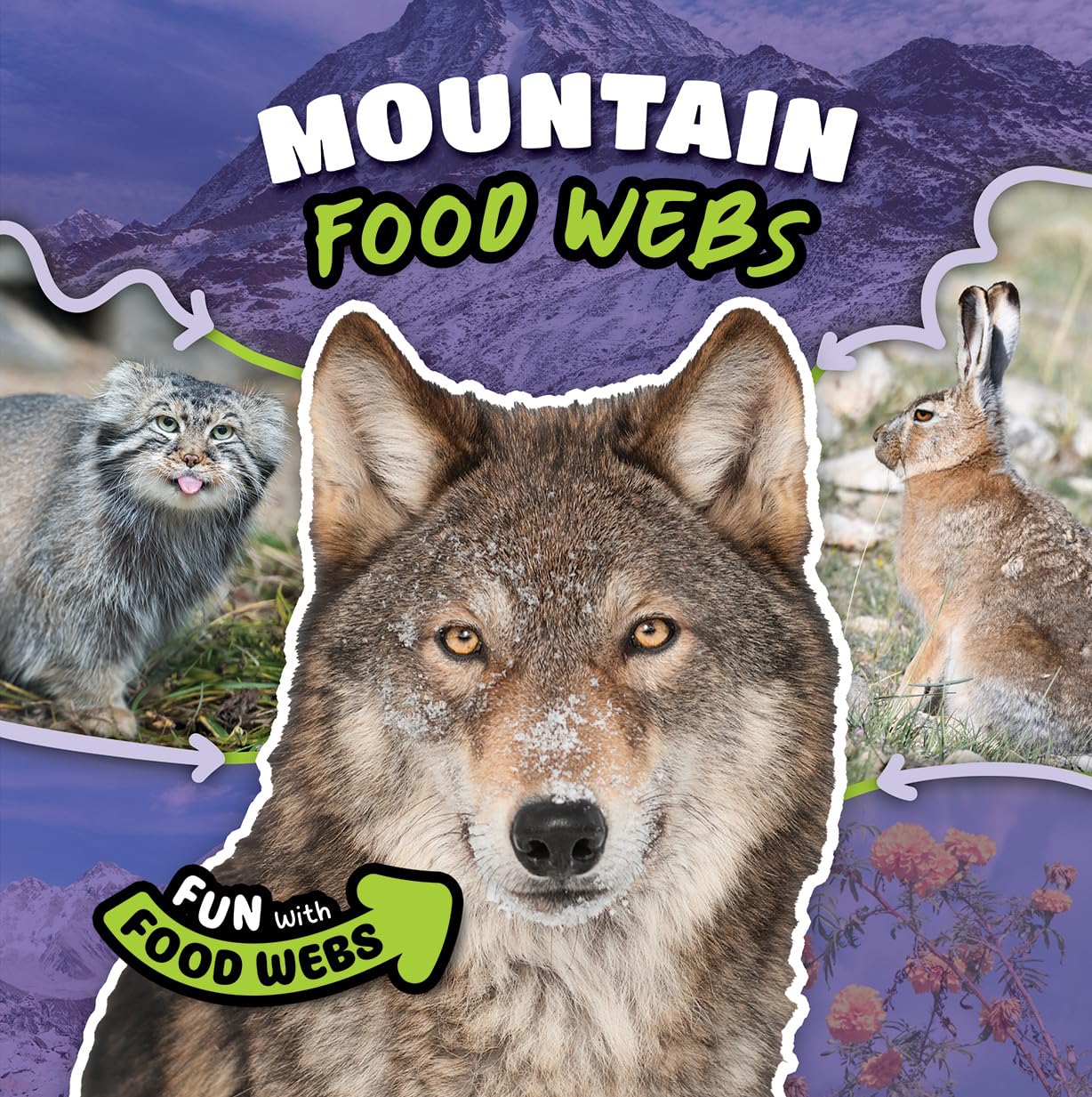 Mountain Food Webs (Fun With Food Webs): Mather, Charis: 9781534546097 ...