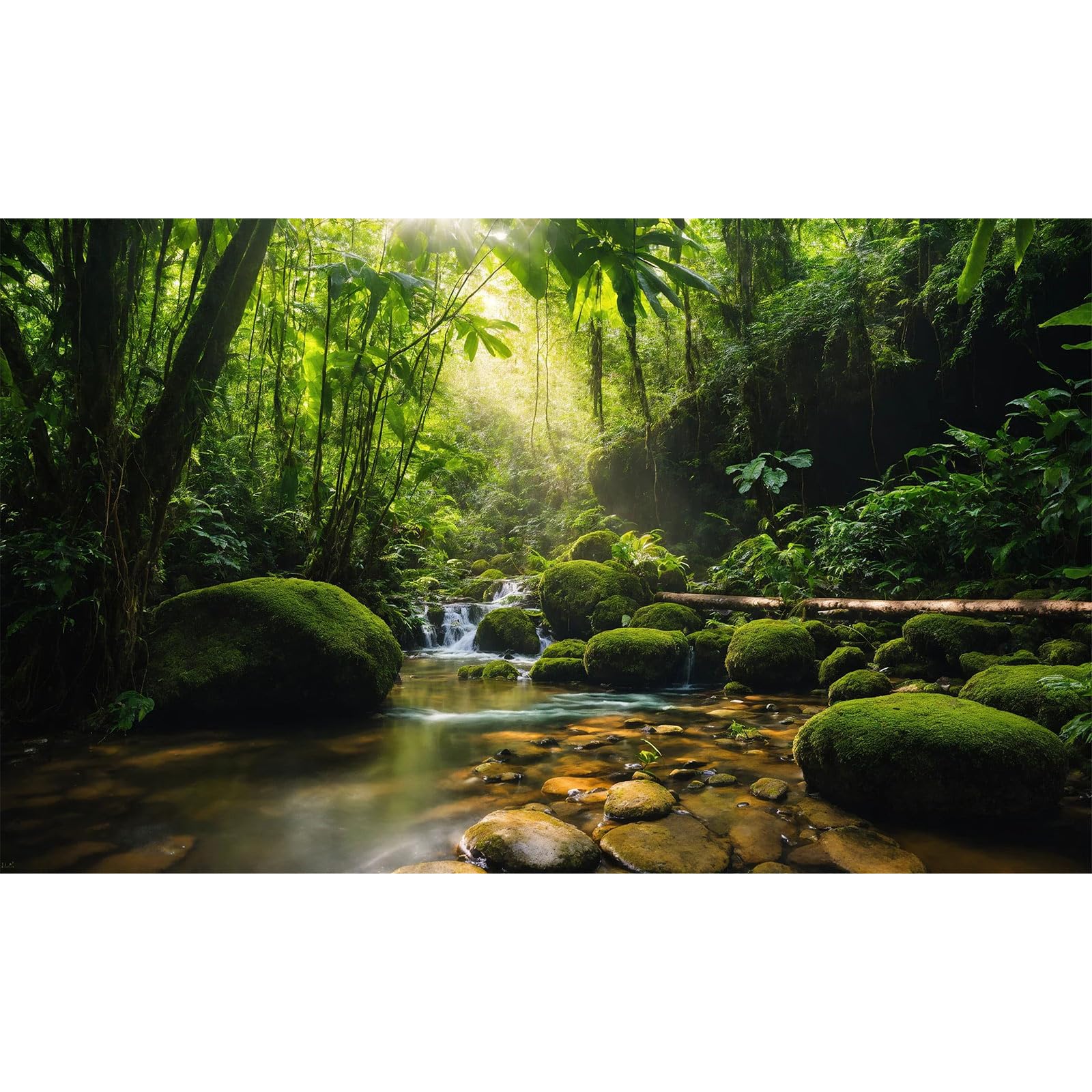 Snapklik.com : Waterfall Aquarium Background Rainforest Waterfall Fish ...