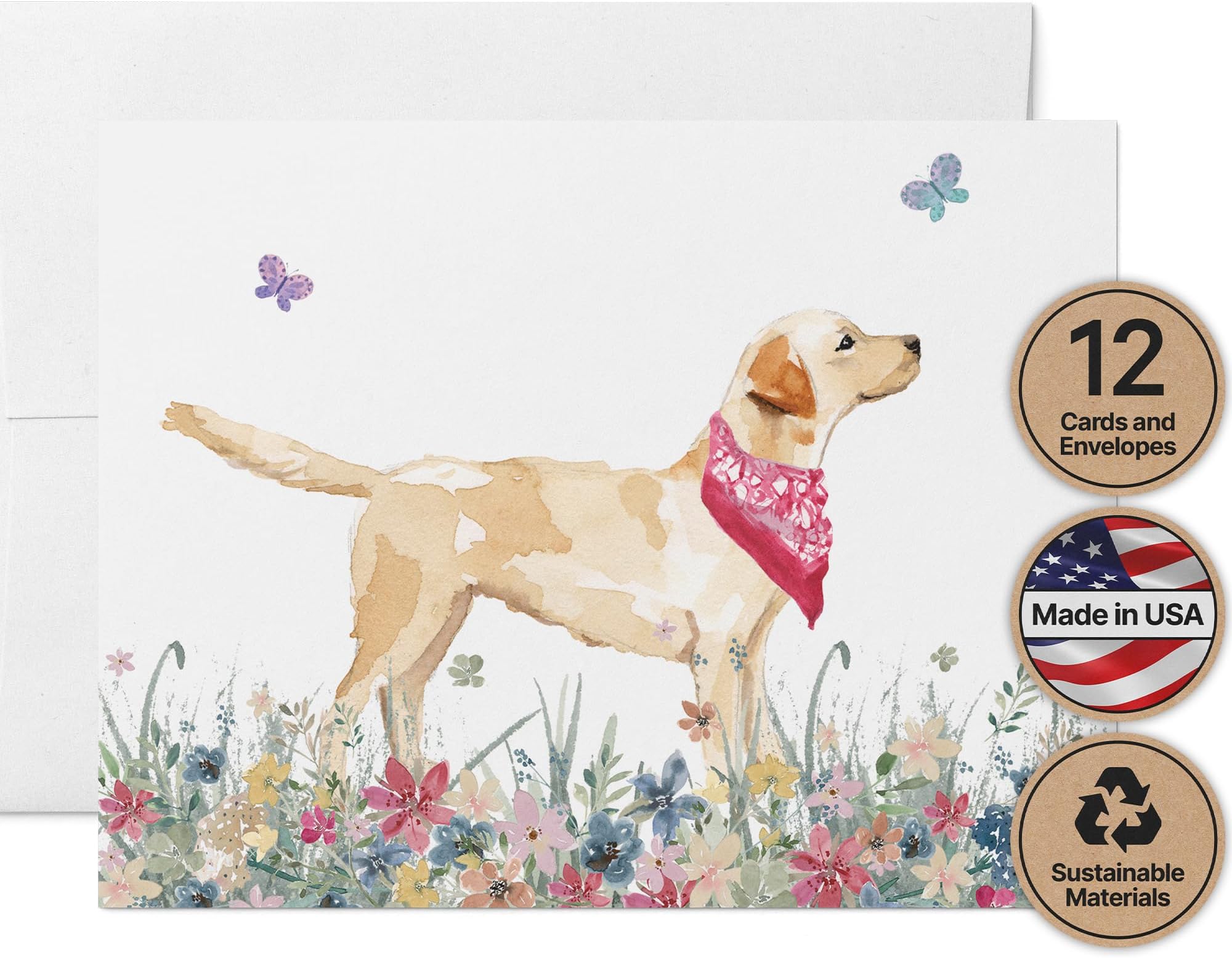 Amazon.com : Labrador Lab Stationery Note Card Set : Health & Household