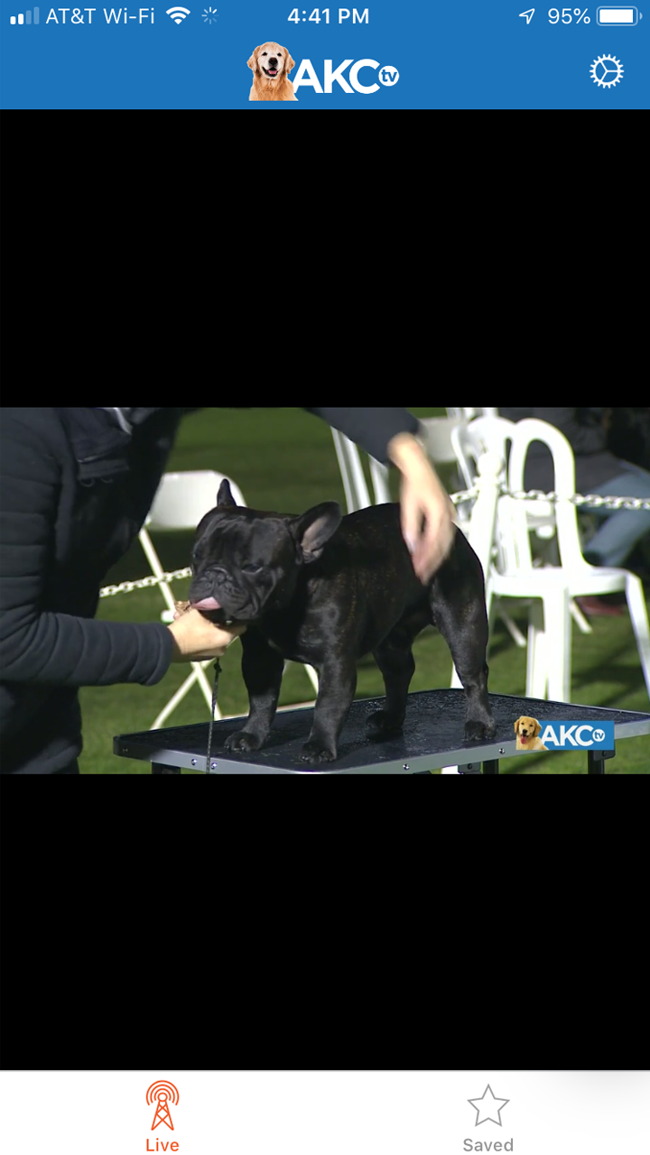 Aplicación AKC.TV en Amazon Appstore