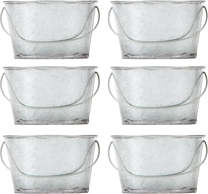 Amazon.com: Hosley Set of 6 Mini Oval Tub Galvanized Planter 3.8 Inches ...