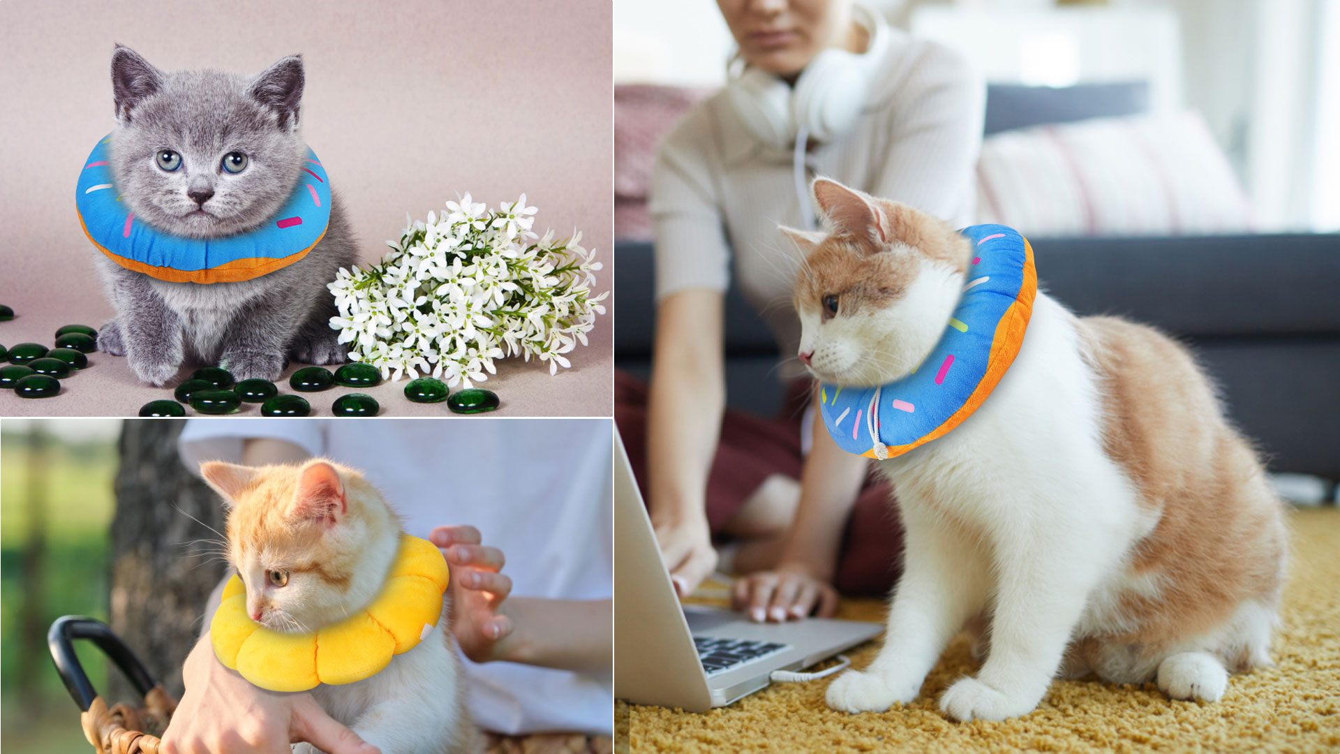 Watch Surgery Recovery Elizabethan Collars for Kitten Cats Cone on ...