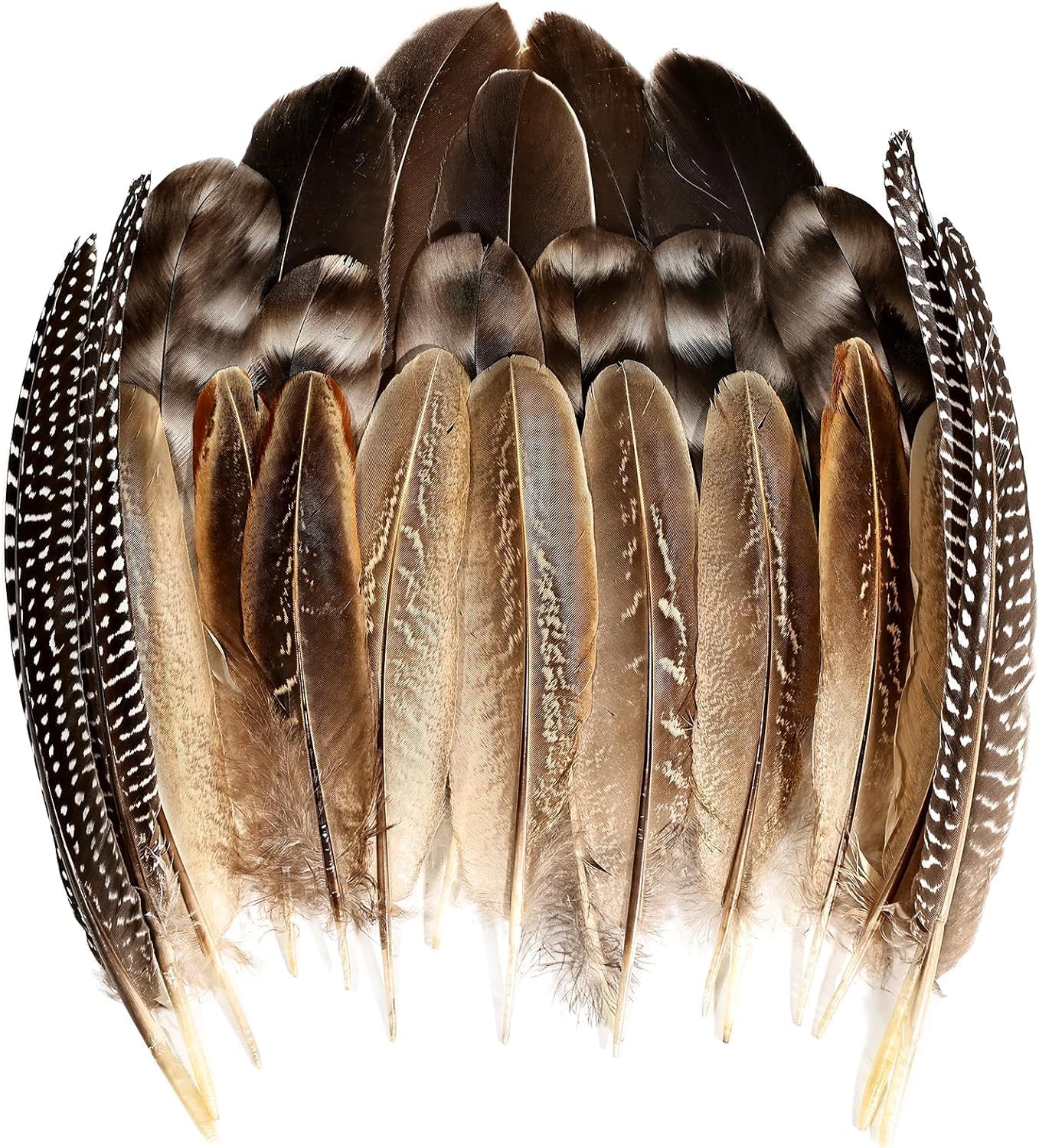 Amazon.com: THARAHT 24pcs 4Style Natural Spotted Feathers Guinea Fowl ...
