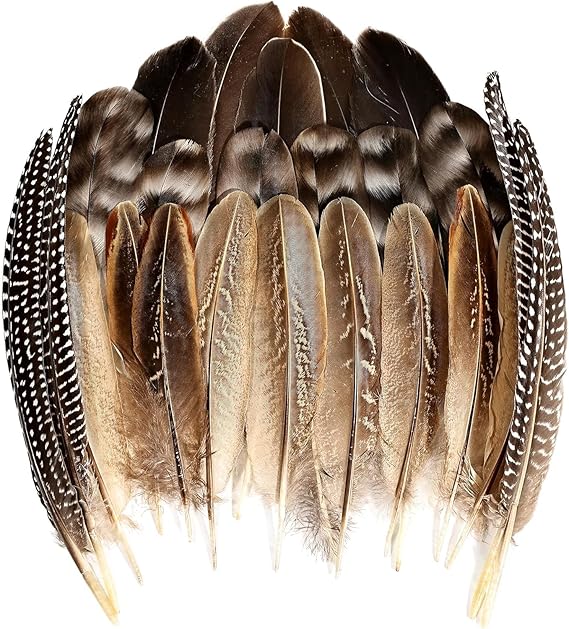Amazon.com: THARAHT 24pcs 4Style Natural Spotted Feathers Guinea Fowl ...