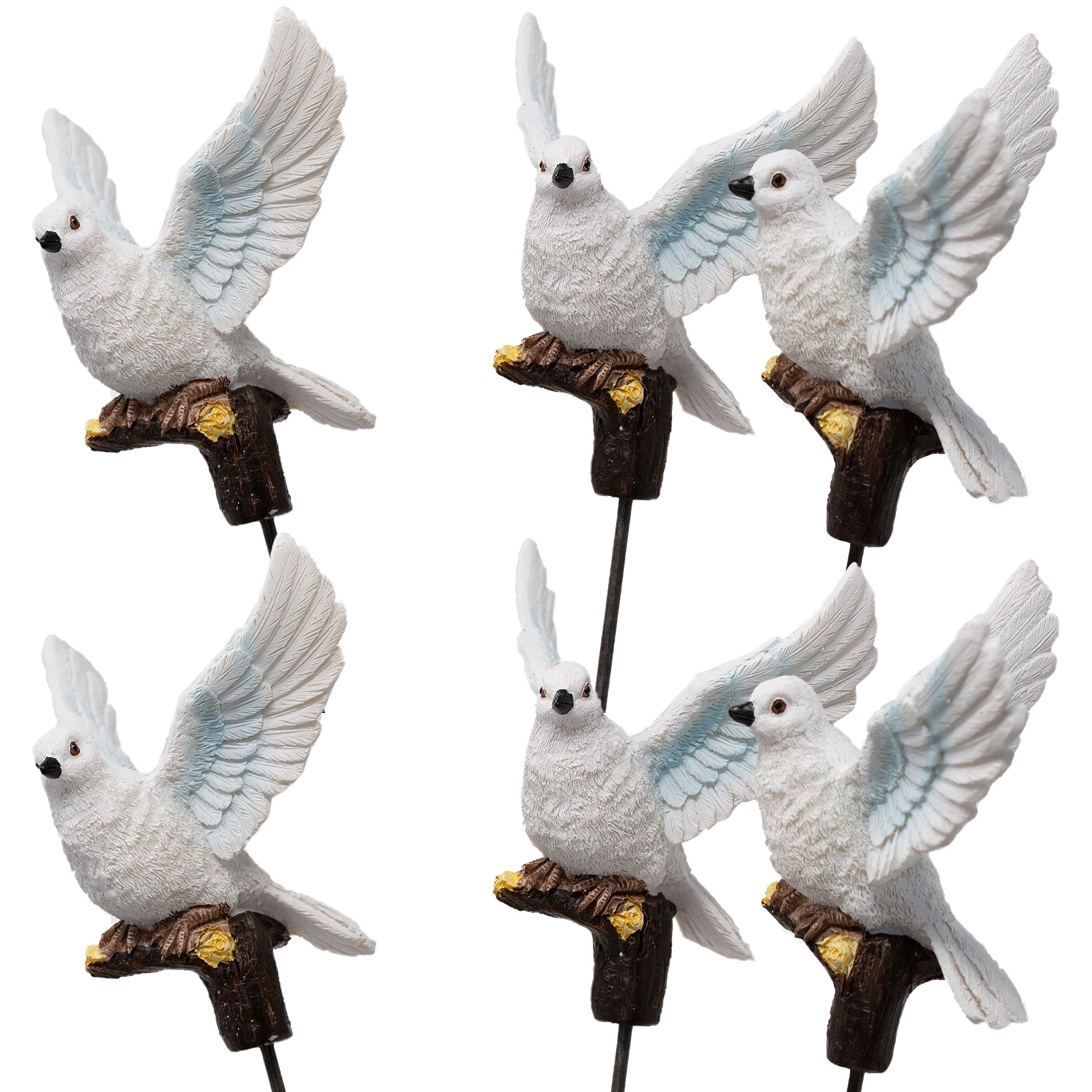 White Dove Hope