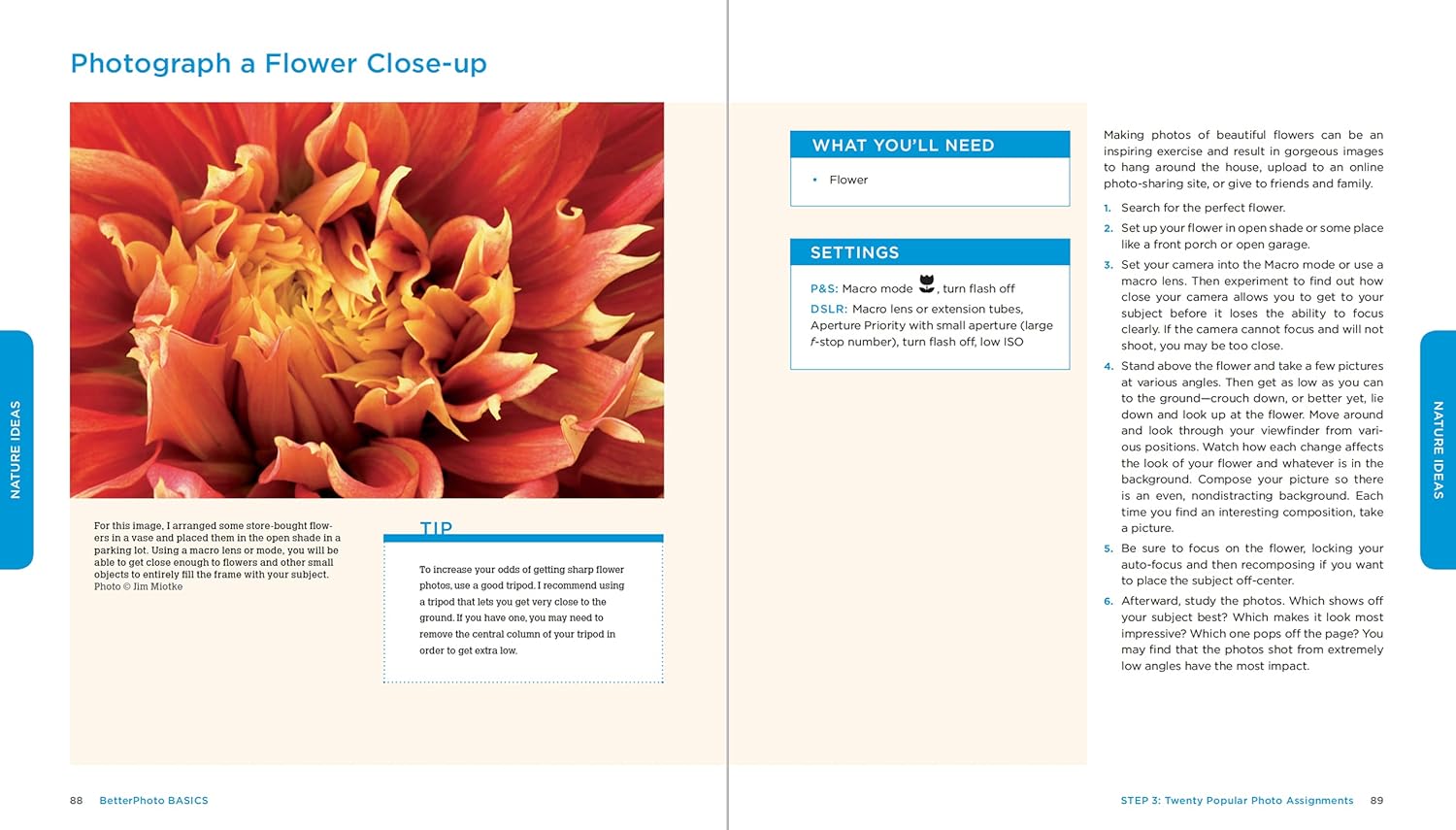 BetterPhoto Basics: The Absolute Beginner's Guide to Taking Photos Like ...