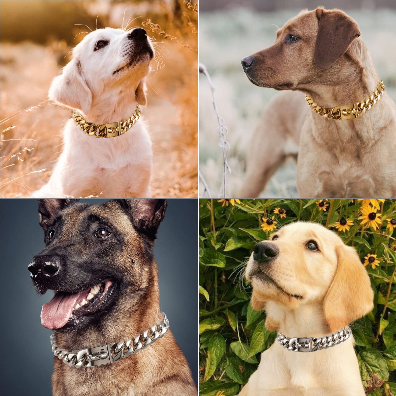 CaptainSteeL Stainless Steel Cuban Dog Collar, 19mm Wide Medium/Large ...