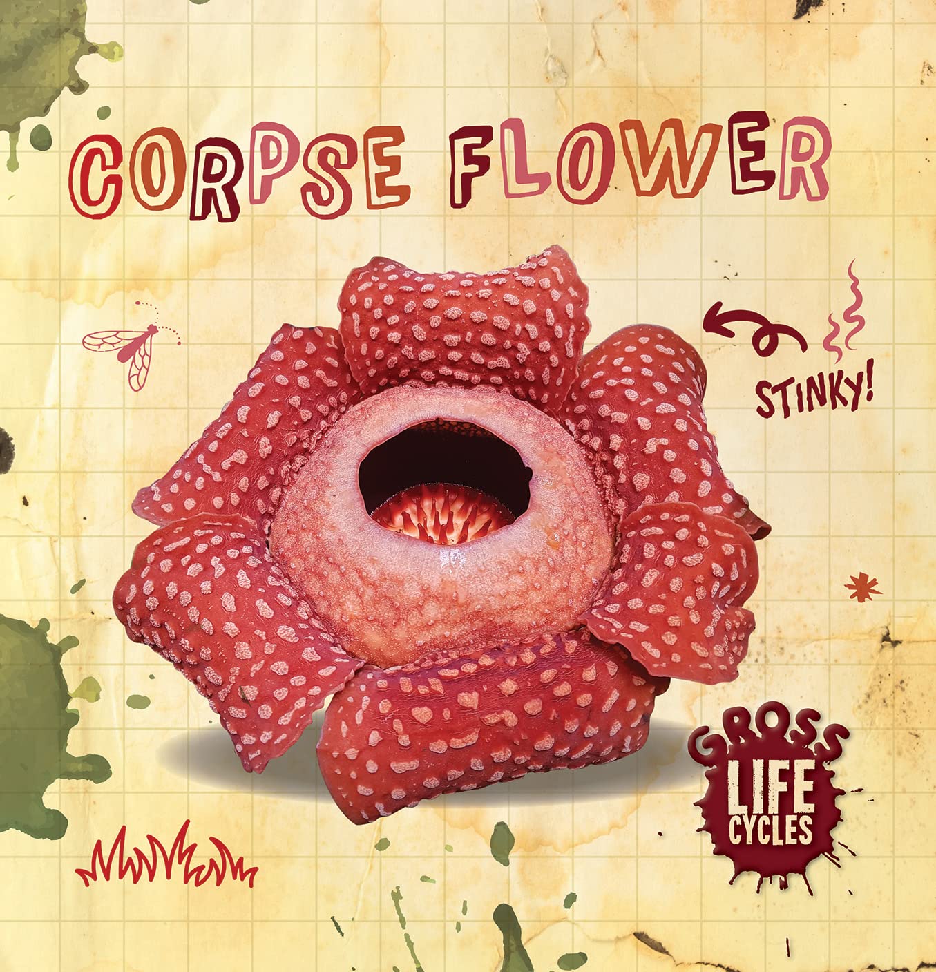 Amazon.com: Corpse Flower (Gross Life Cycles): 9781978526457: Anthony ...