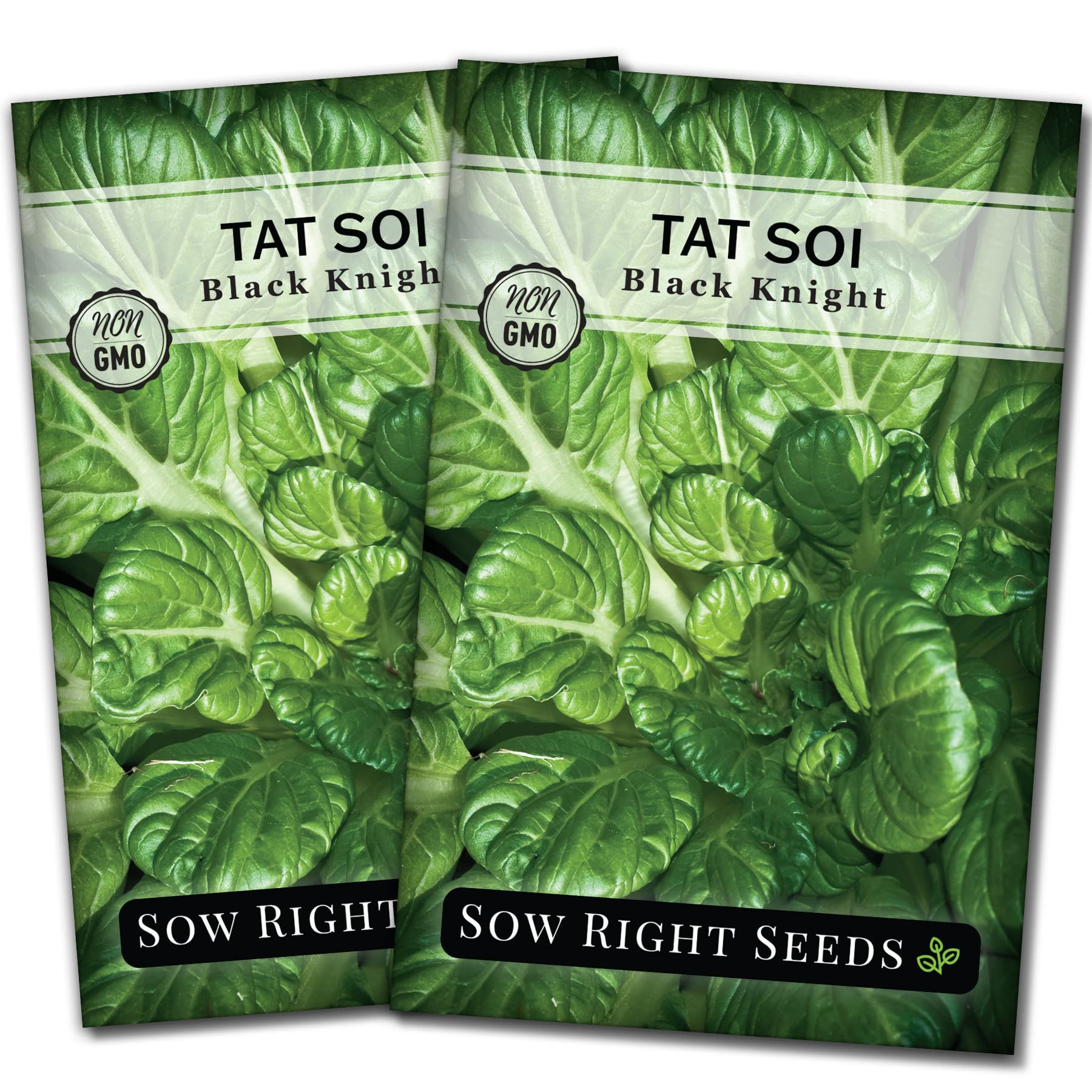 Amazon.com : Sow Right Seeds - Black Knight Tat SOI Seeds for Planting ...