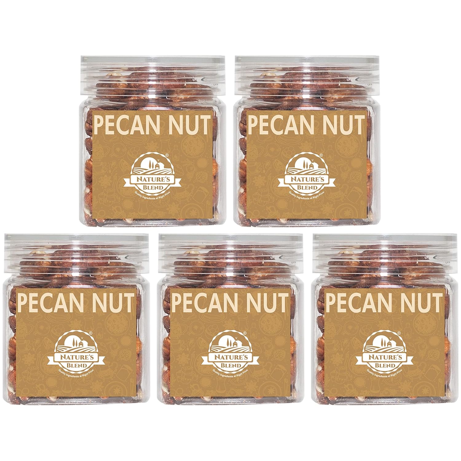 Nature's Blend Pecan Nut Selected 100g Jar (Pack Of 5) : Amazon.in ...