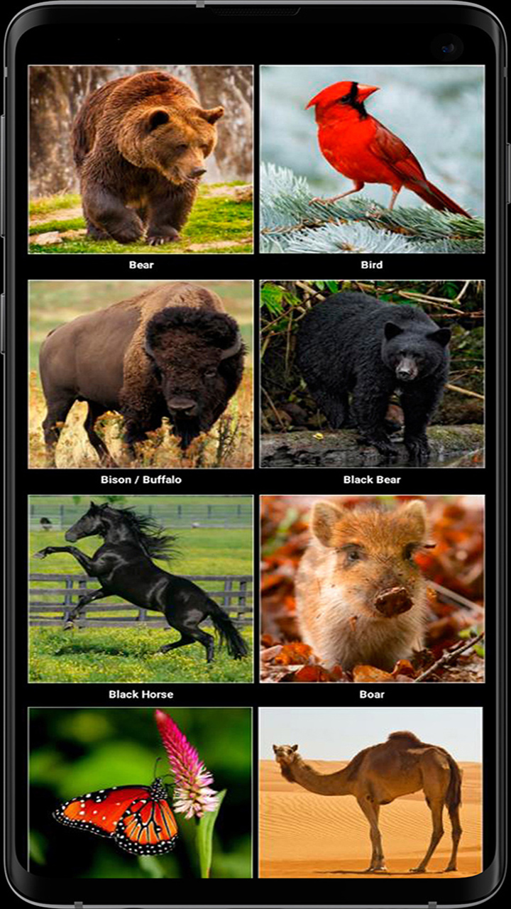 Animals Wallpapers - App on Amazon Appstore
