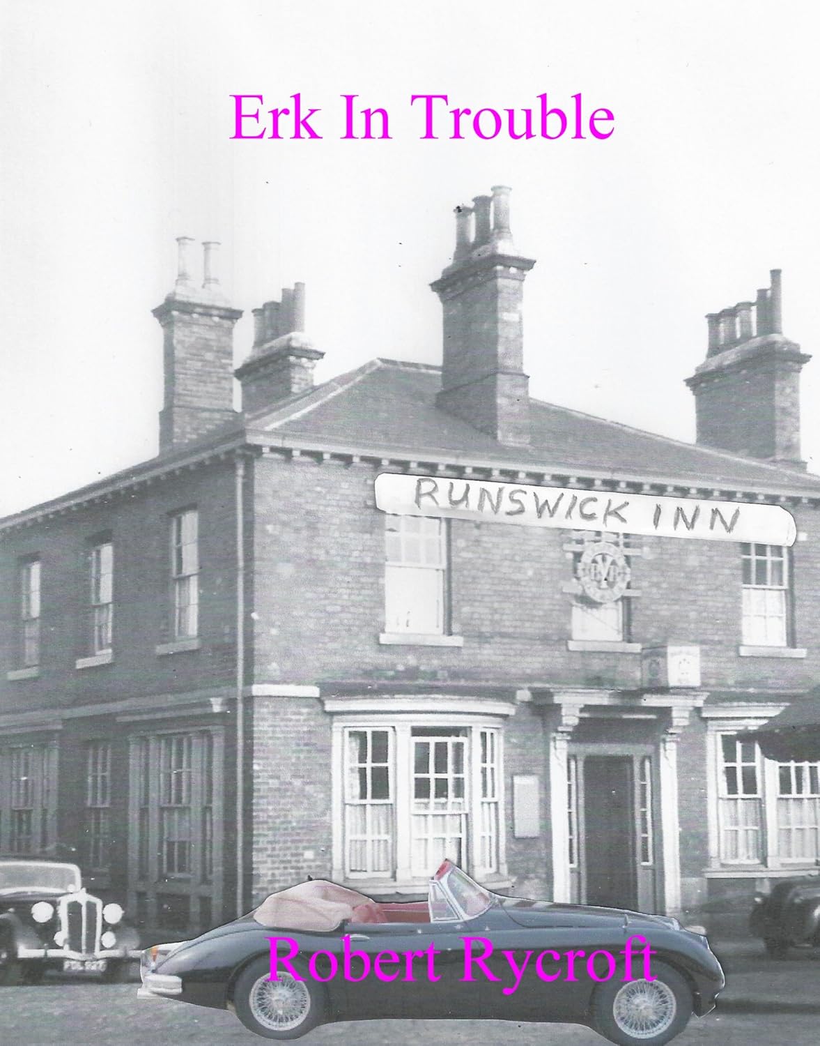 Erk In Trouble - Kindle edition by Rycroft, Robert. Literature ...