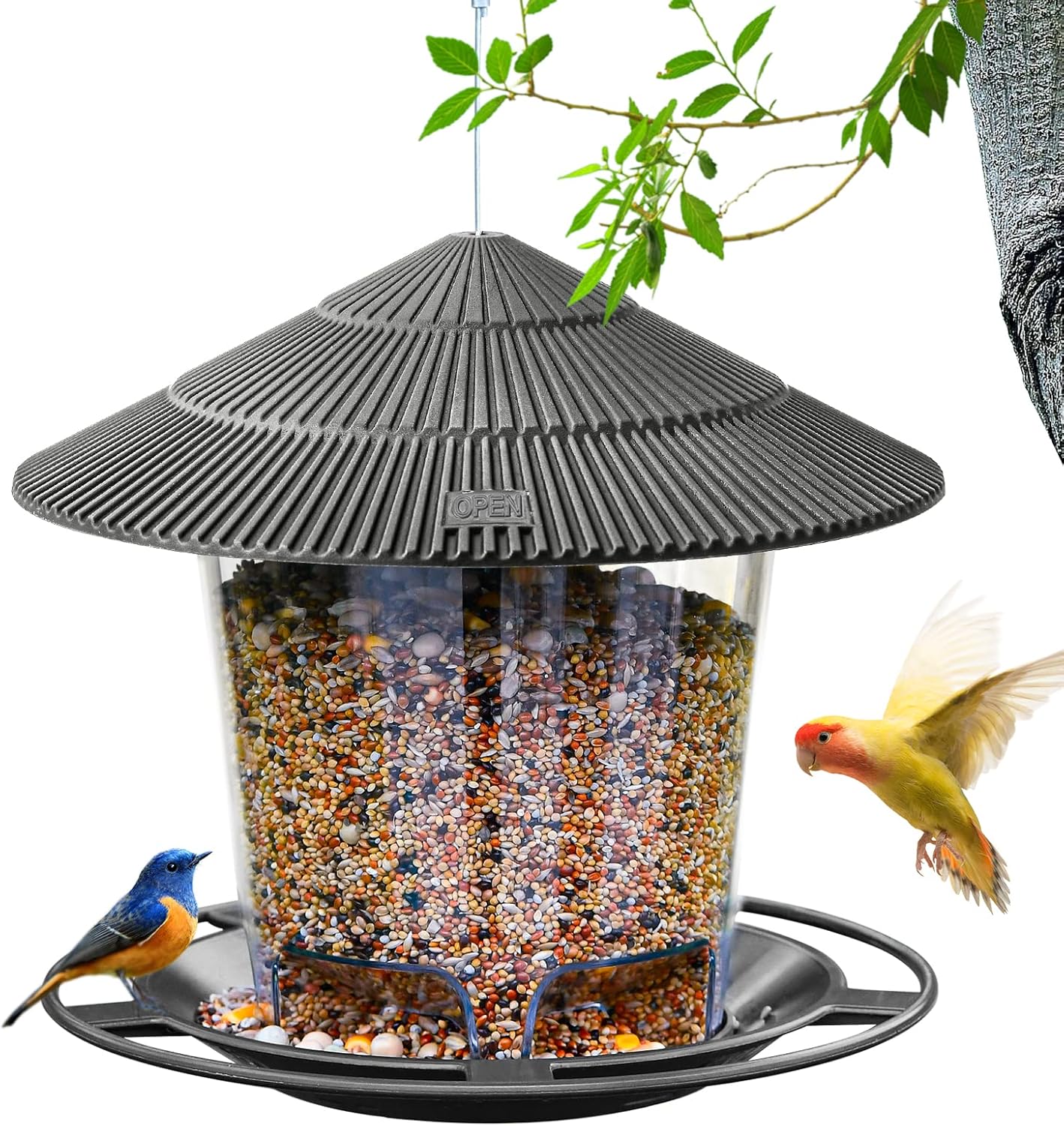 Amazon.com : Hanizi Bird Feeder Outdoor Hanging for Wild Bird Seed ...