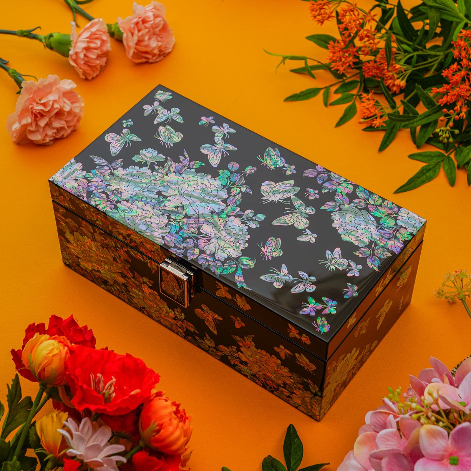 Home Goods Box Design Cenoceras Nautilus Box Frame Real Authentic