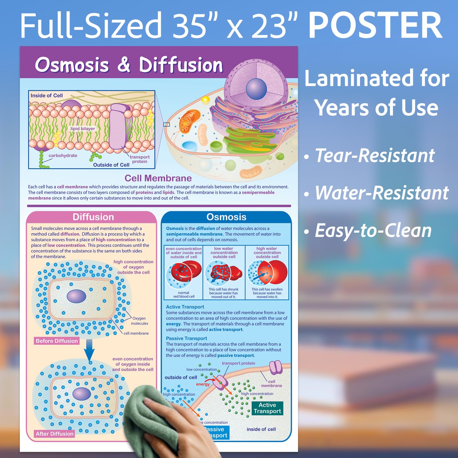 Poster On Diffusion